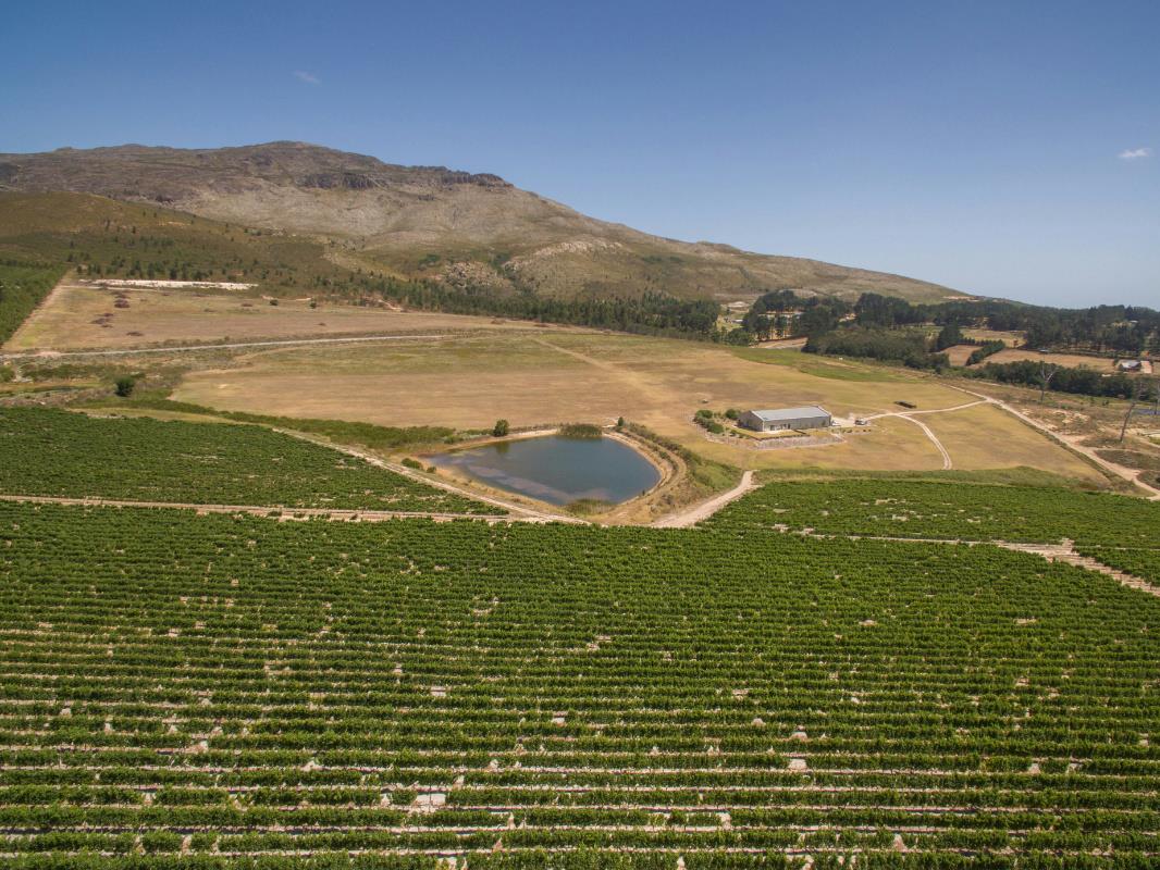 60 hectare Wine Farm For Sale | Hemel-en-Aarde Valley | ST1335326 | Pam ...