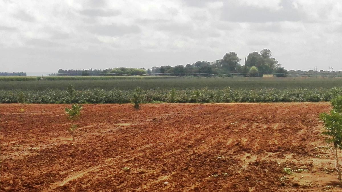 60 hectare Mixed Use Farm For Sale | Hartswater (Northern Cape ...