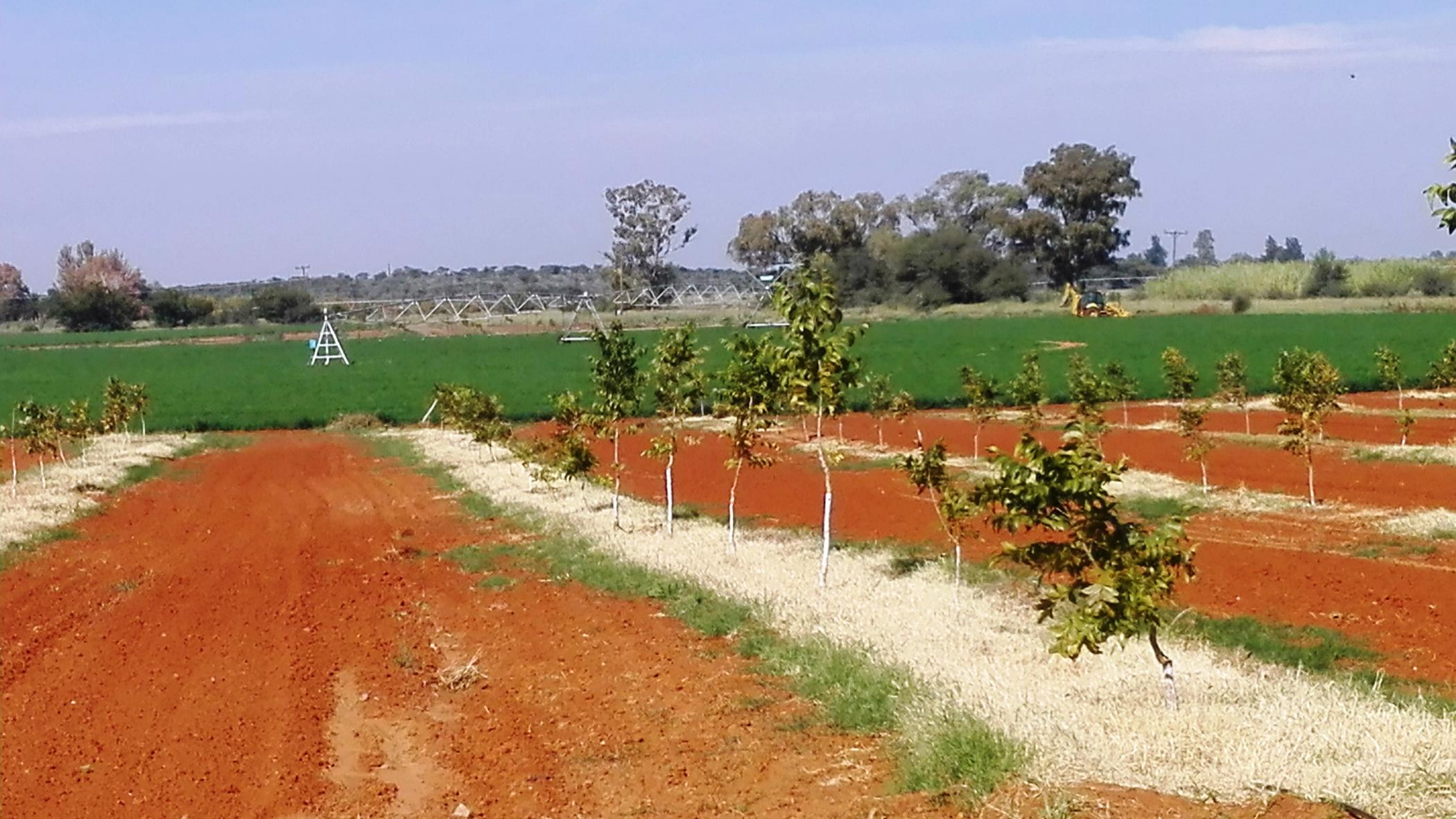 Hartswater (Northern Cape) Farms For Sale | Pam Golding Properties