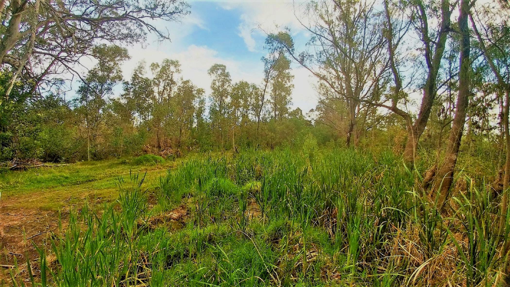 3.84 hectare Farm Vacant Land For Sale | Greenbushes | 1PLZ1439207 ...