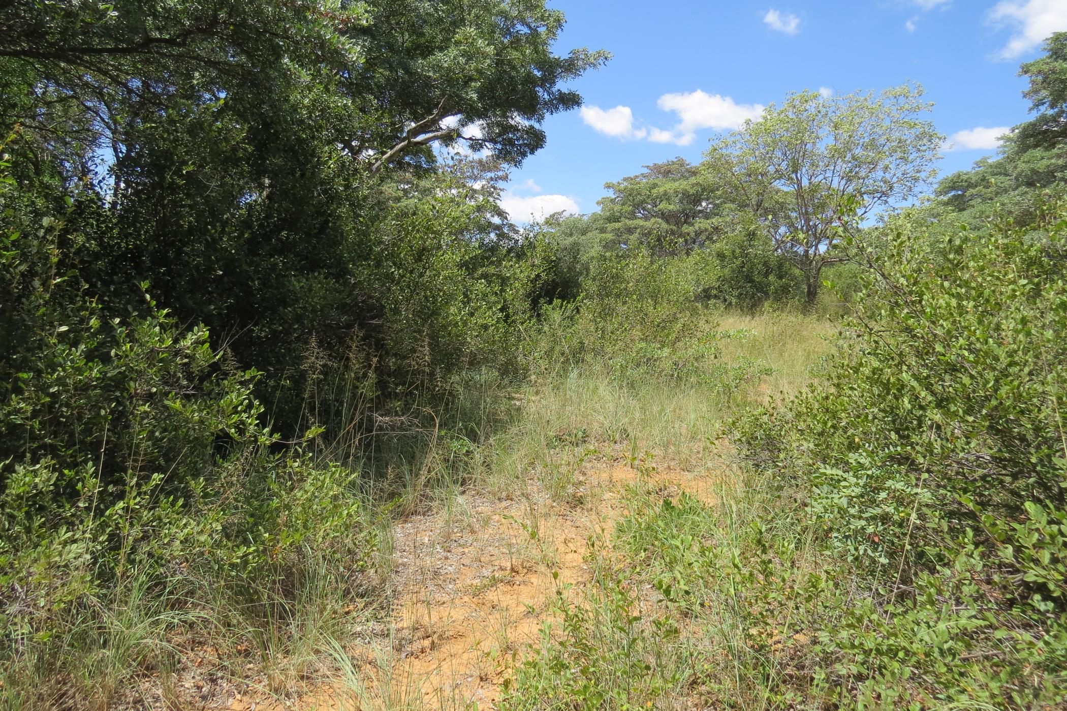 2.29 hectare Vacant Land For Sale | Modimolle Rural | 1MM1479032 | Pam ...