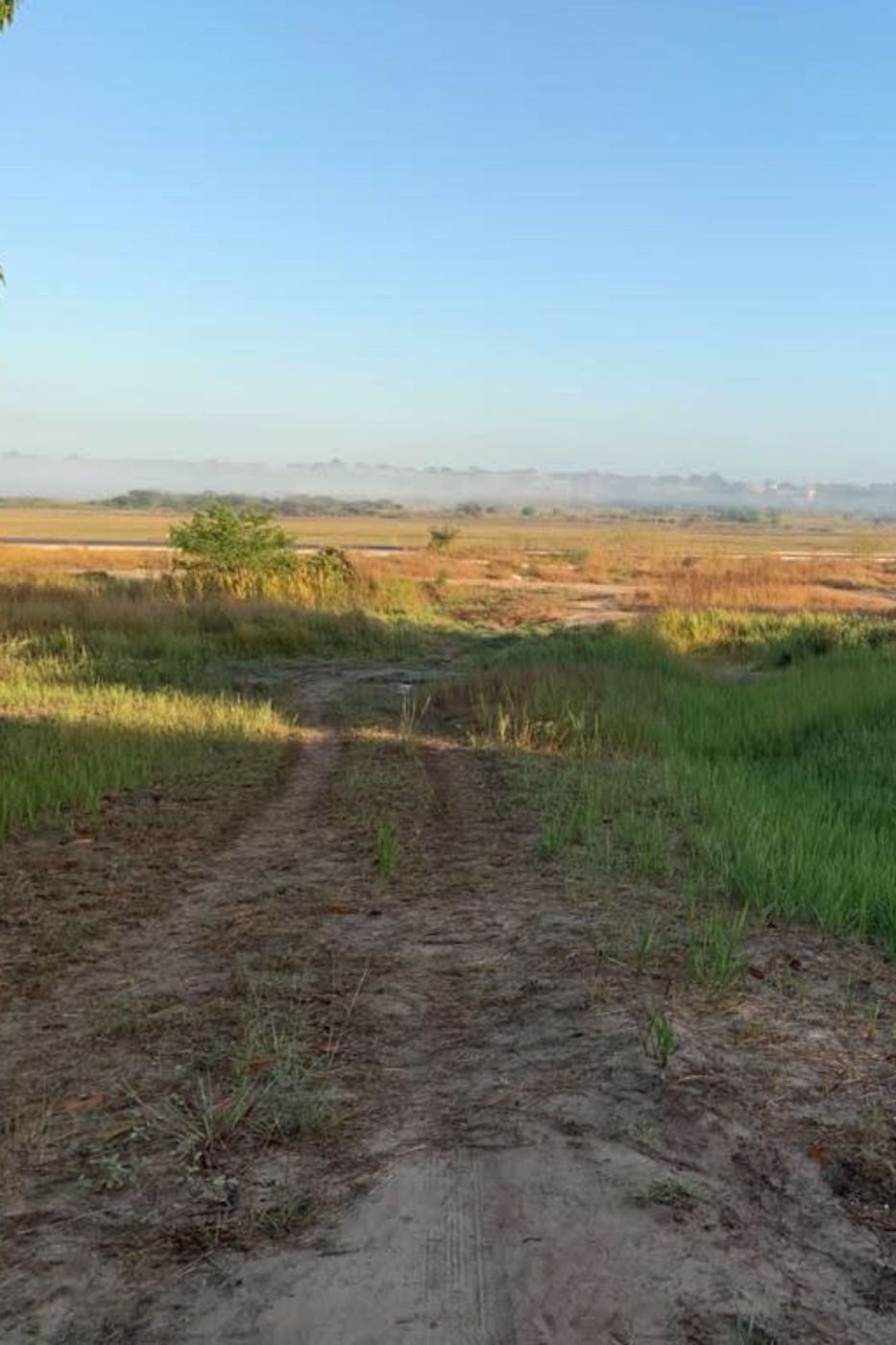 97 hectare Farm Vacant Land For Sale | Catembe (Mozambique ...