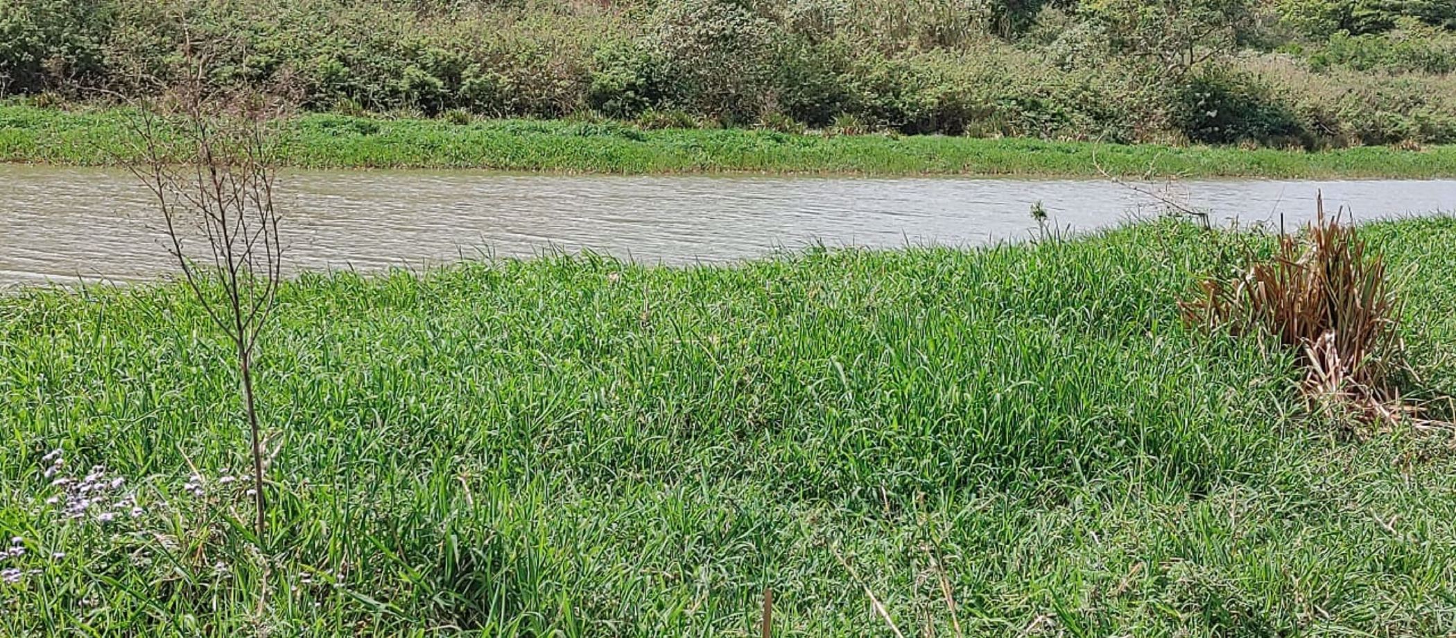 3 hectare Farm Vacant Land For Sale | Craigieburn | 1SI1576717 | Pam ...