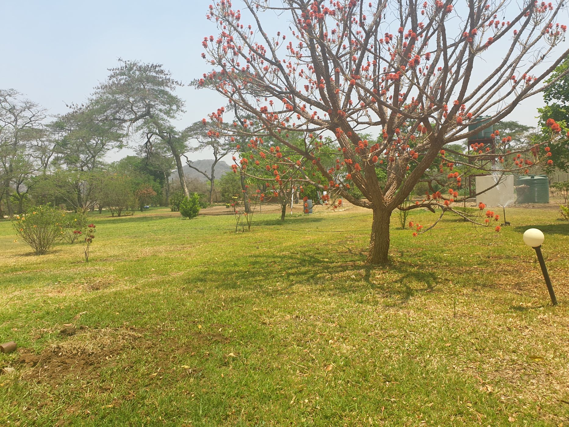 4 Bedroom House To Rent | Shimabala, Lusaka Province (Zambia ...