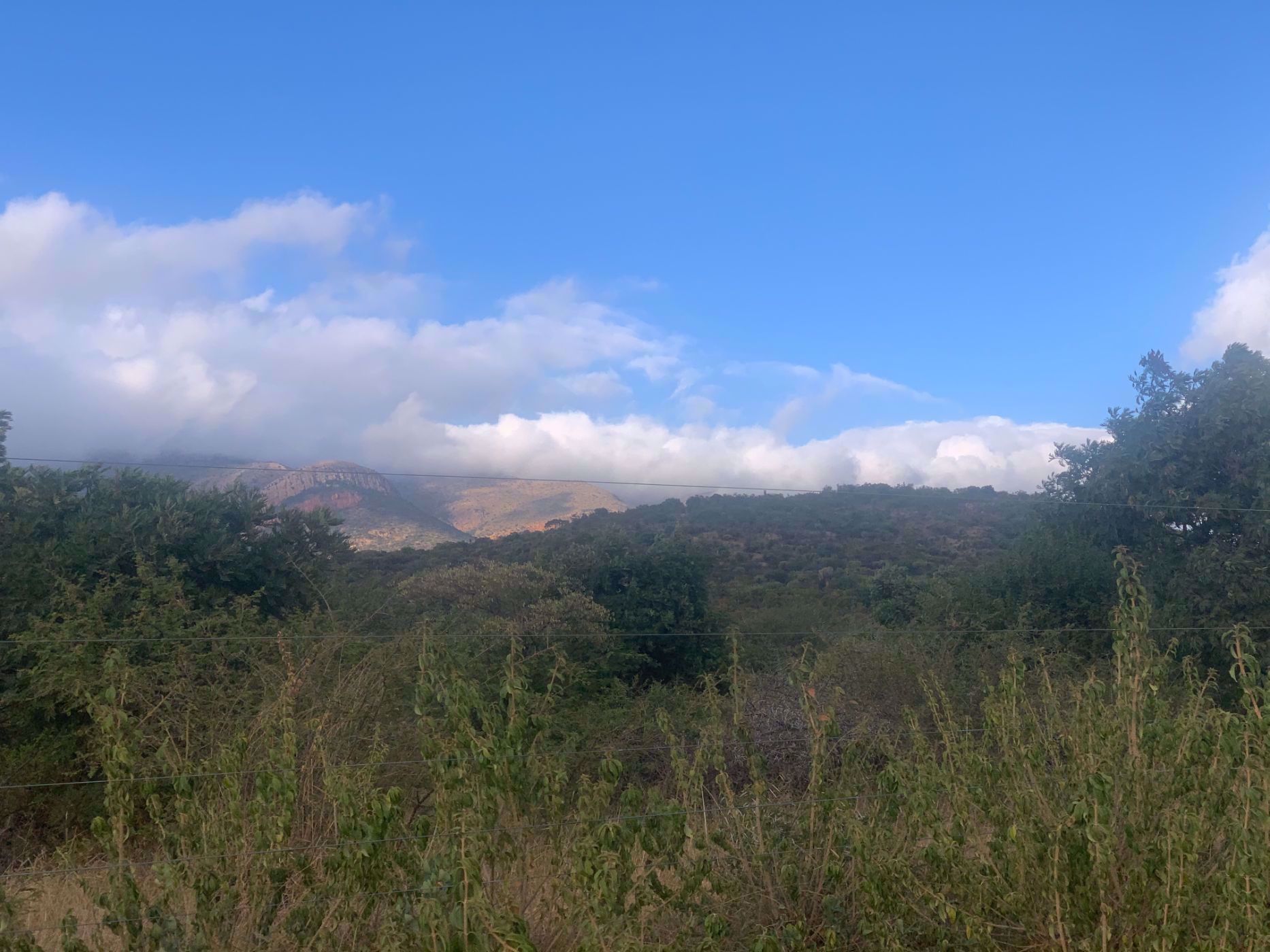 317.8 hectare Farm Vacant Land For Sale | Haenertsburg | 1PS1602718 ...