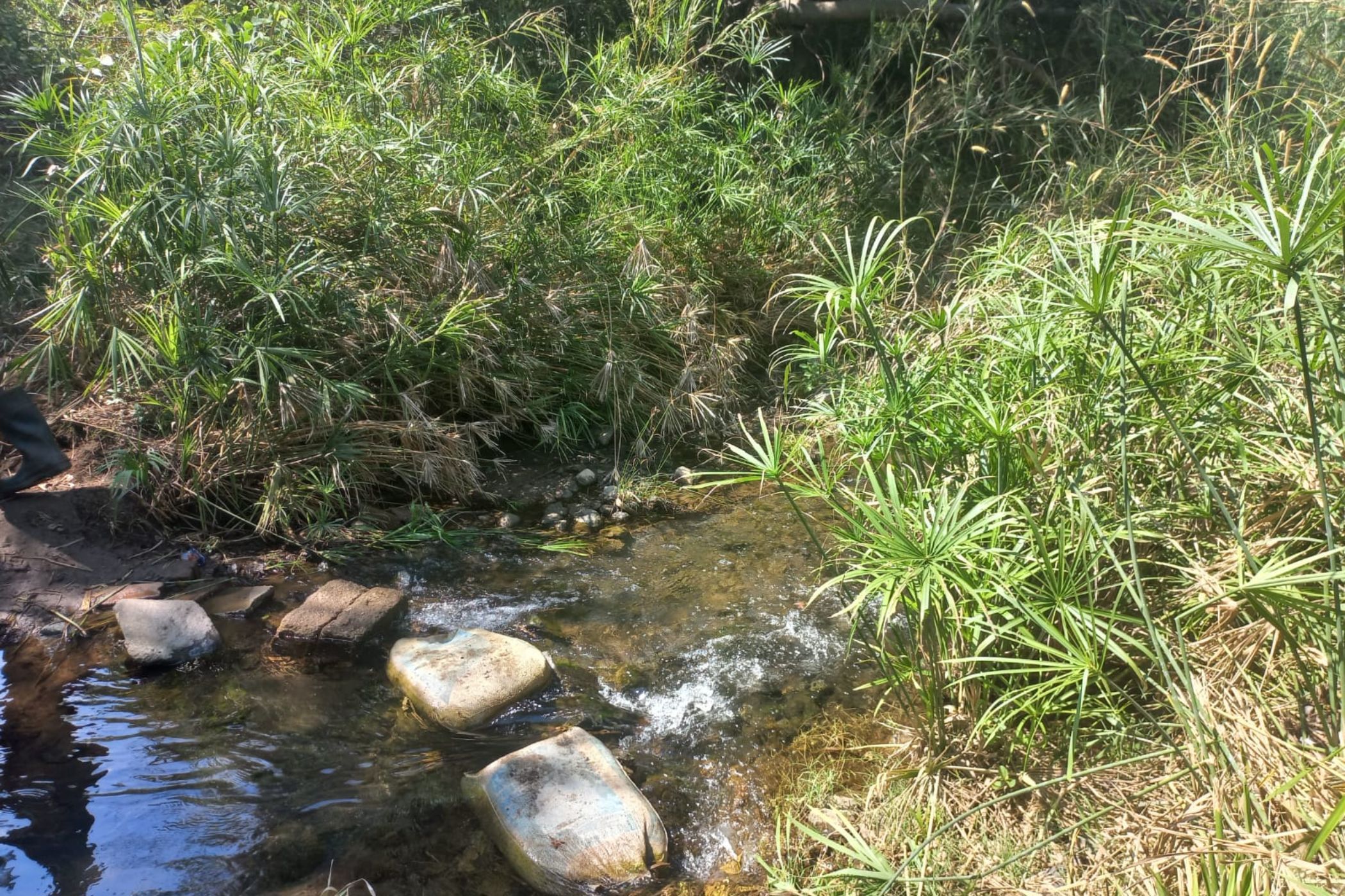 30.12 hectare Vacant Land For Investment | Moatize (Tete, Mozambique ...