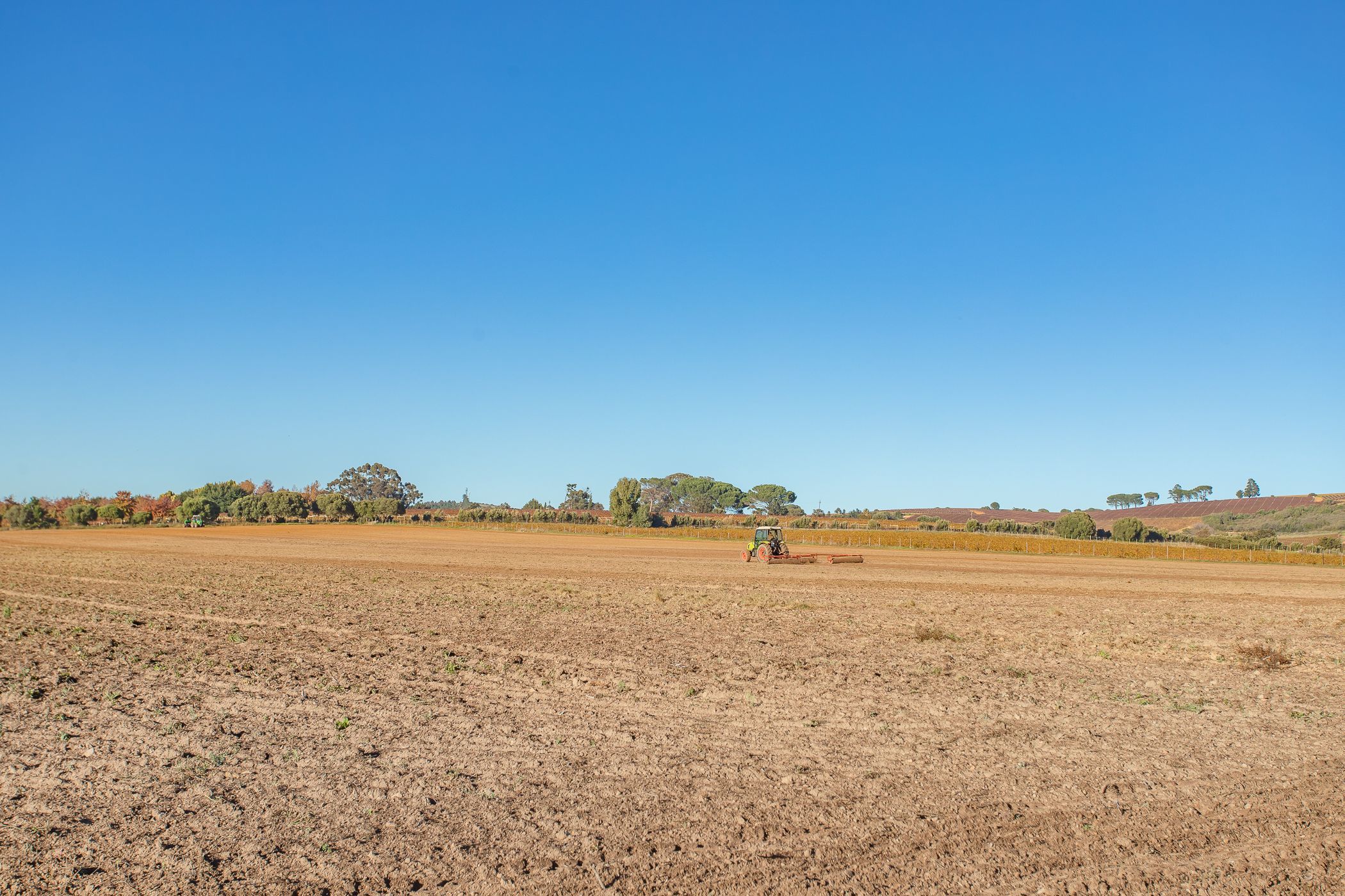 55.6 hectare Mixed Use Farm For Sale | Klapmuts | TK1613981 | Pam ...