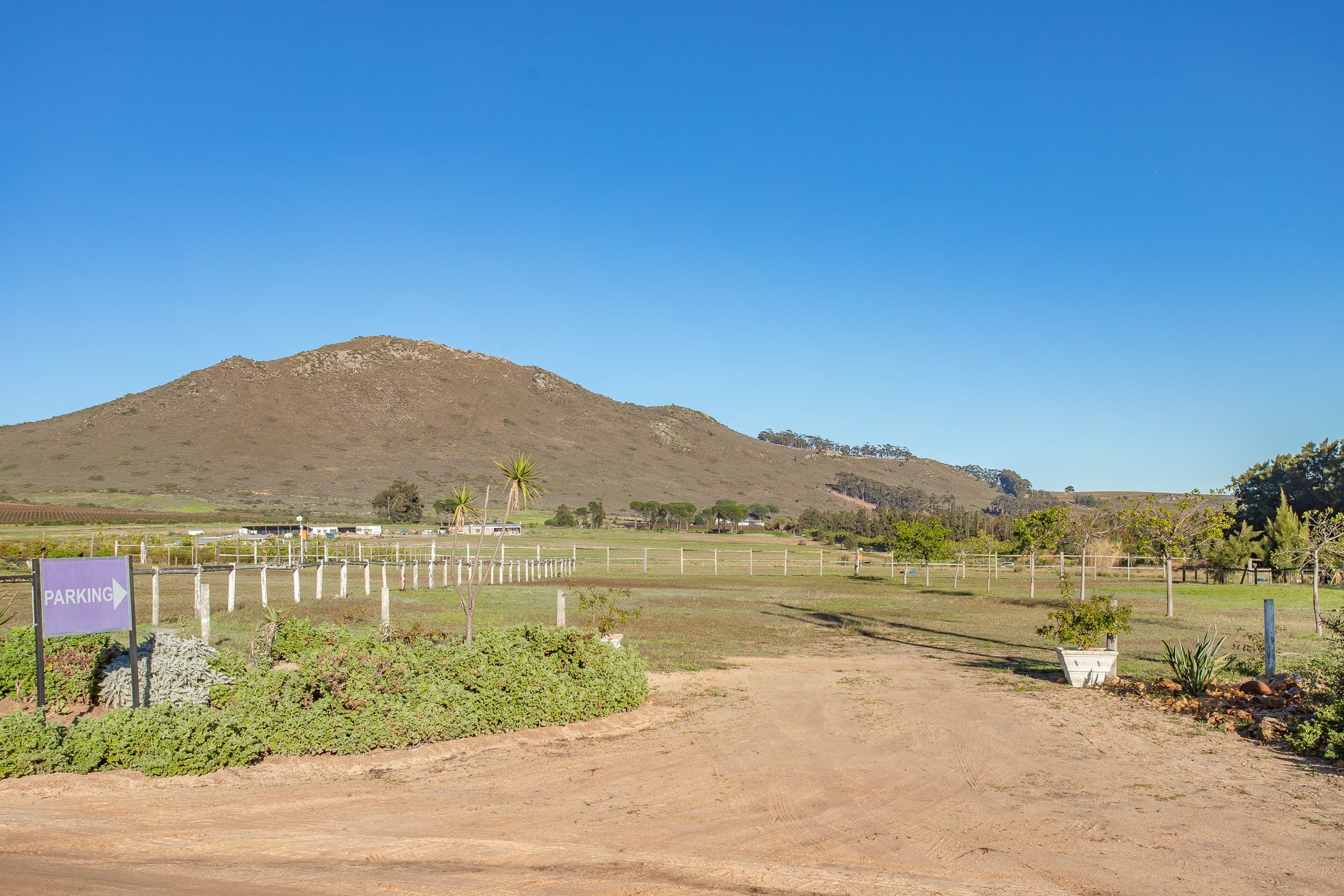 55.6 hectare Mixed Use Farm For Sale | Klapmuts | TK1613981 | Pam ...