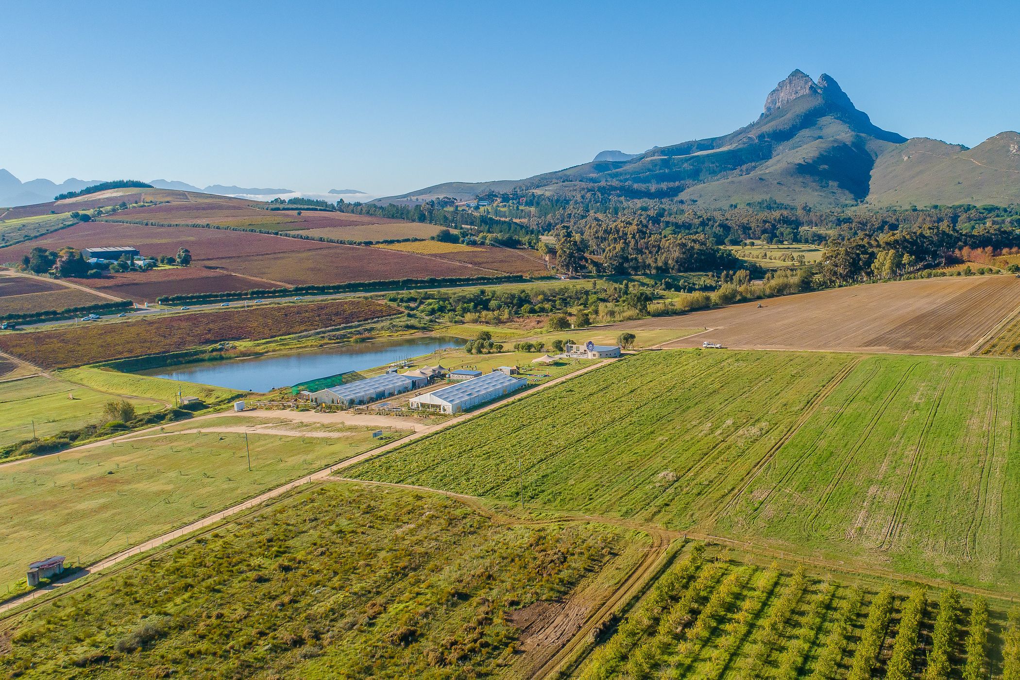 55.6 hectare Mixed Use Farm For Sale | Klapmuts | TK1613981 | Pam ...