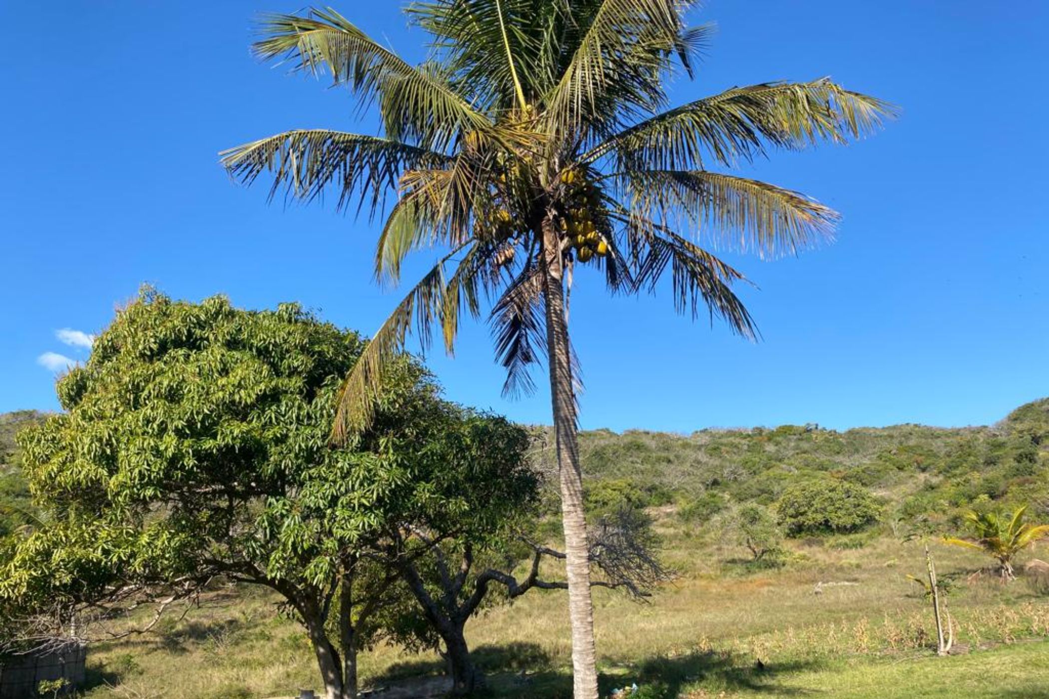 9000 m2 Vacant Land For Investment | Bilene (Mozambique) | 3MQ1626141 ...