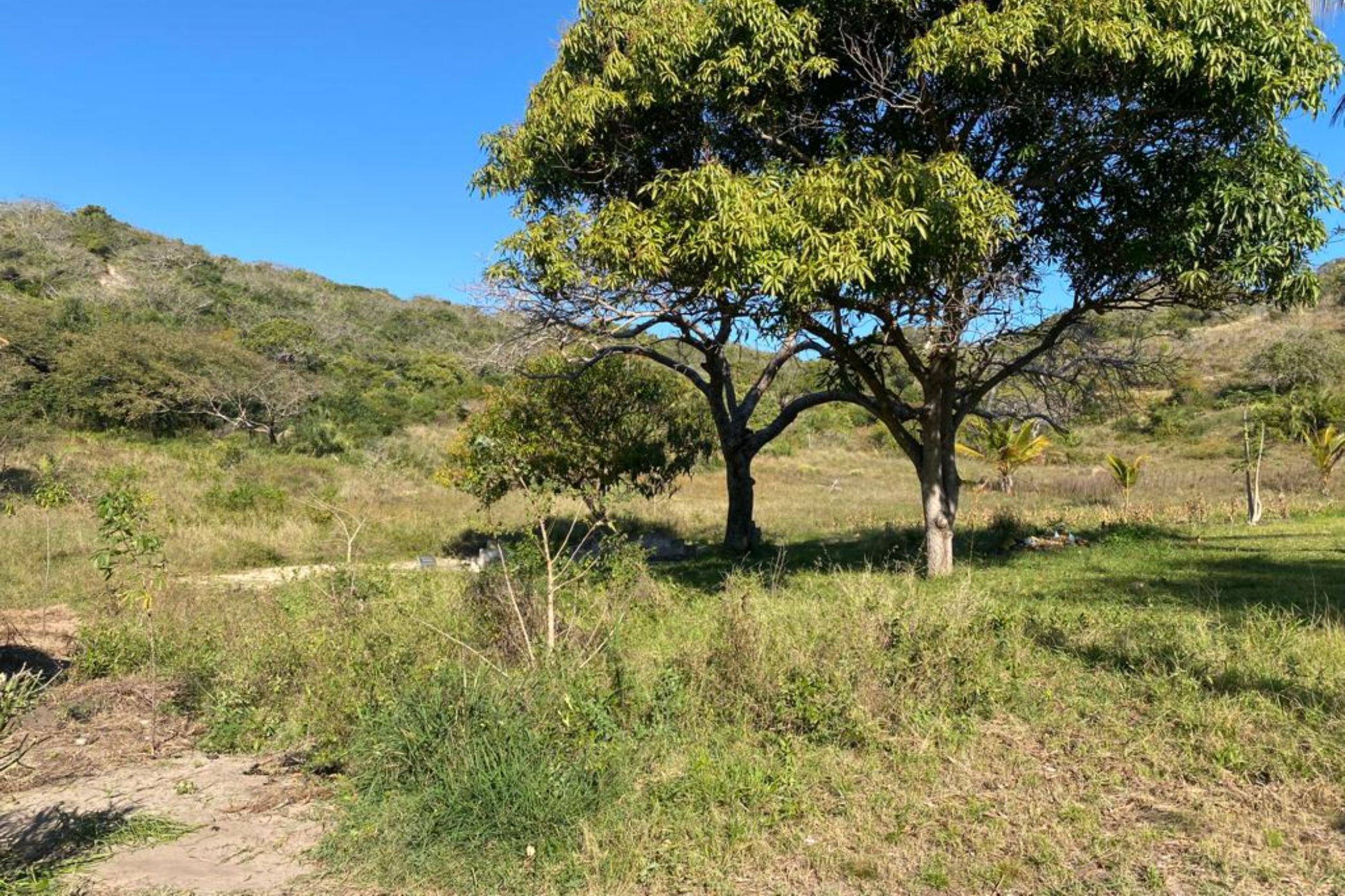 9000 m2 Vacant Land For Investment | Bilene (Mozambique) | 3MQ1626141 ...