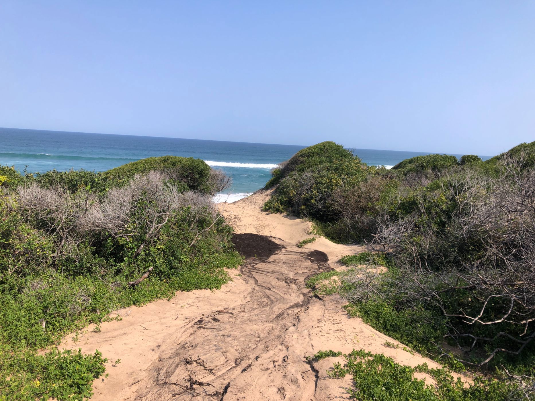 5.3 hectare Vacant Land For Investment | Guinjata (Inhambane ...