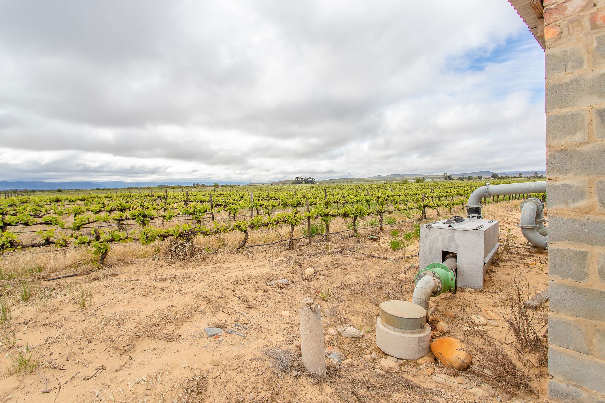 209.88 hectare Wine Farm For Sale | Worcester Rural | TK1327175 | Pam ...