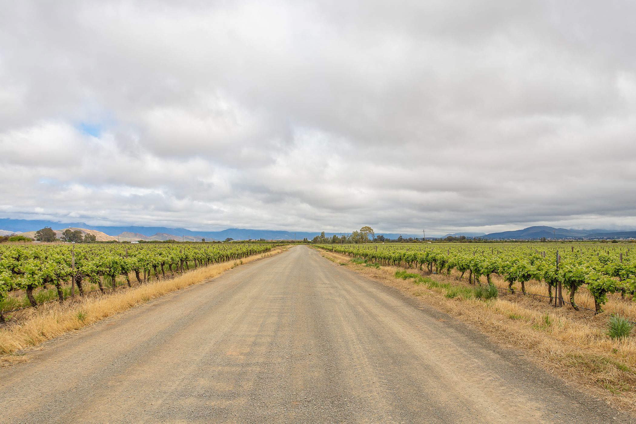 209.88 hectare Wine Farm For Sale | Worcester Rural | TK1327175 | Pam ...