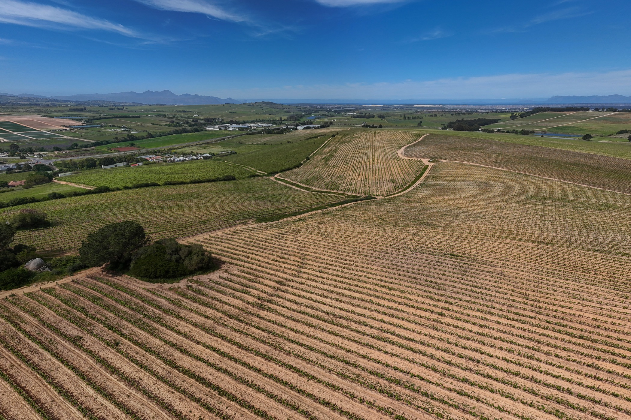 160 hectare Wine Farm For Sale | Stellenbosch Farms | ST1628031 | Pam ...