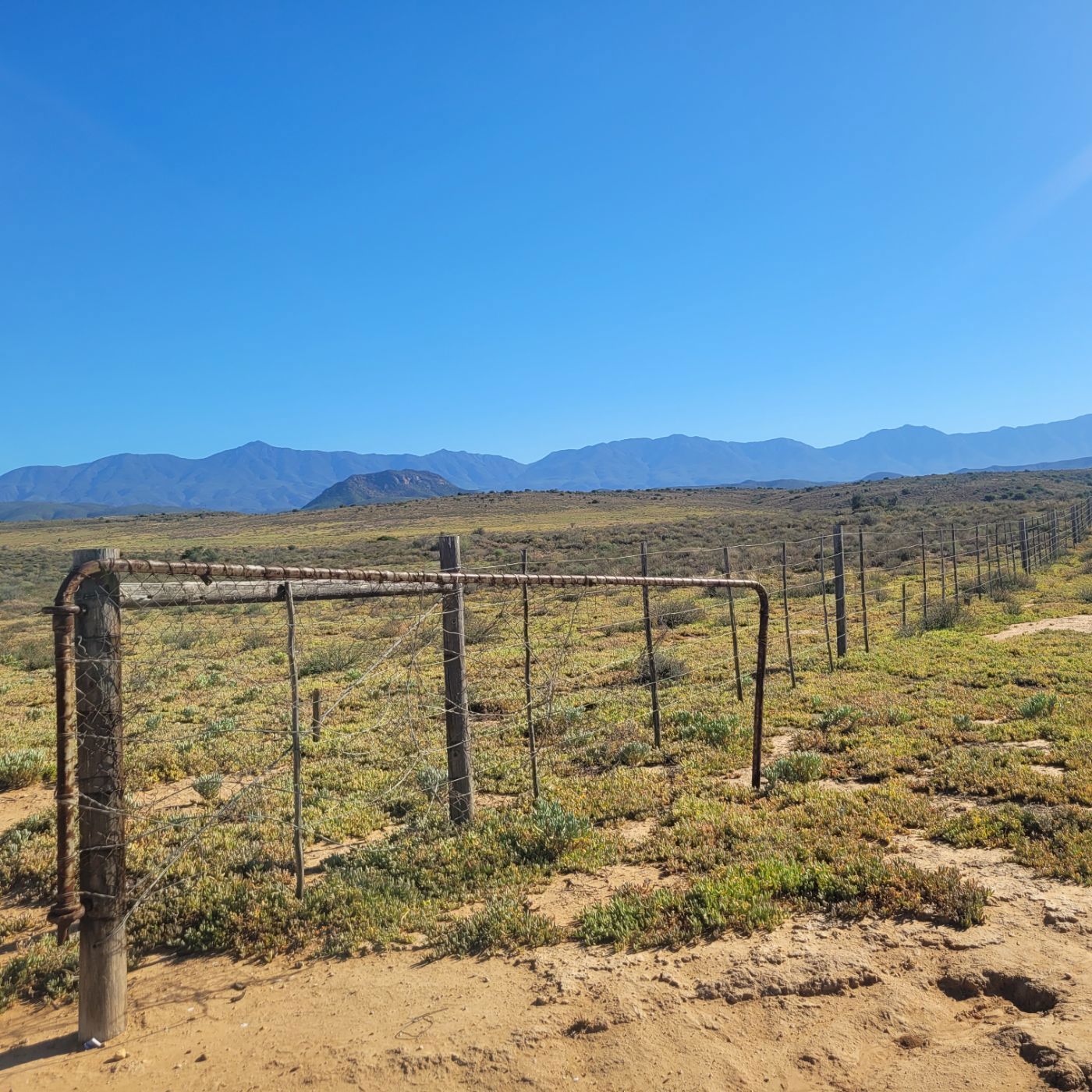 70 hectare Farm Vacant Land For Sale | Calitzdorp | 1OU1651811 | Pam ...