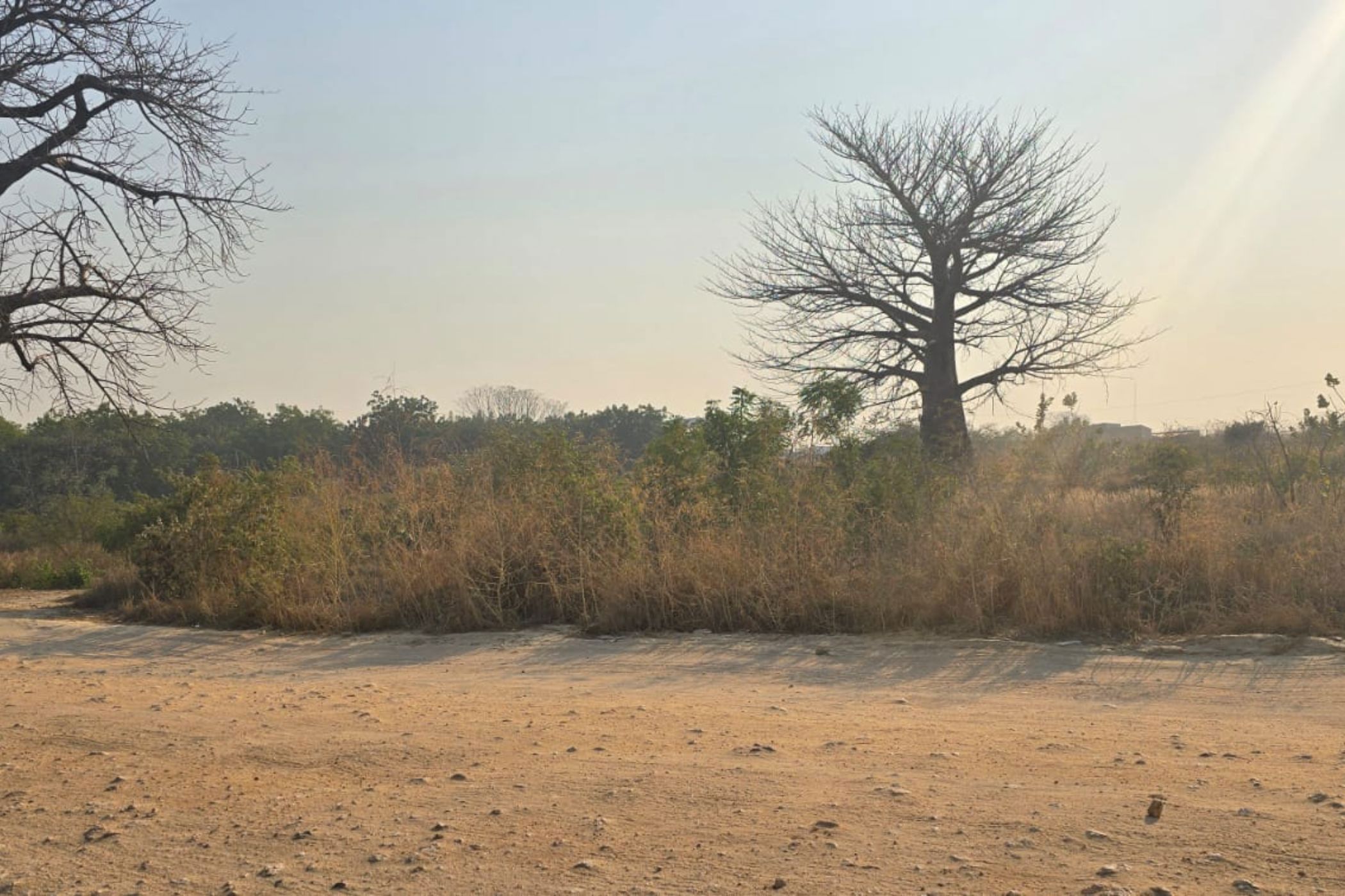 2 hectare Vacant Land For Investment | Tete (Tete, Mozambique ...