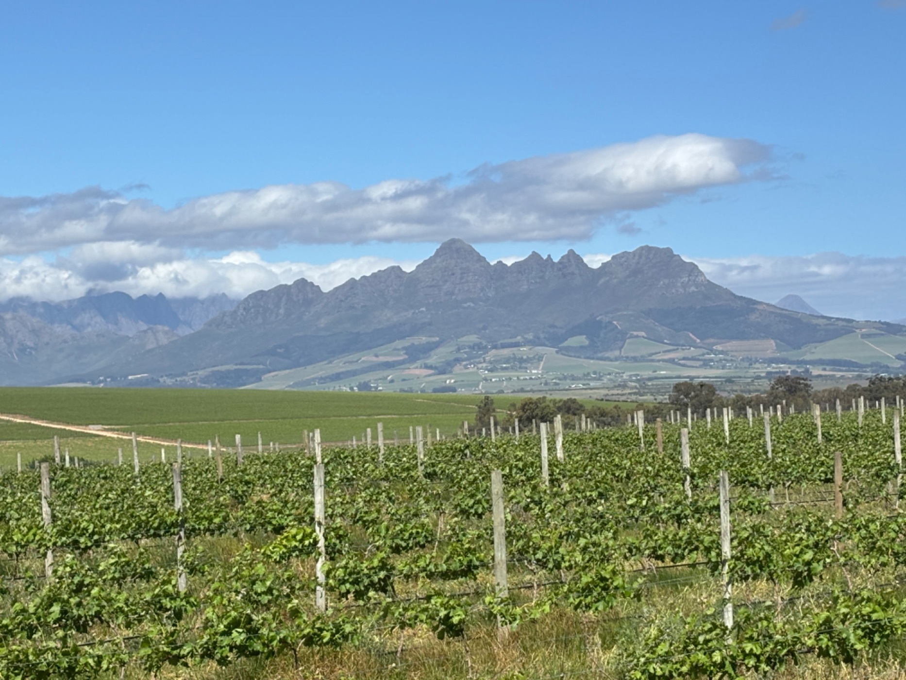 21.6 hectare Wine Farm For Sale | Stellenbosch Farms | ST1659473 | Pam ...