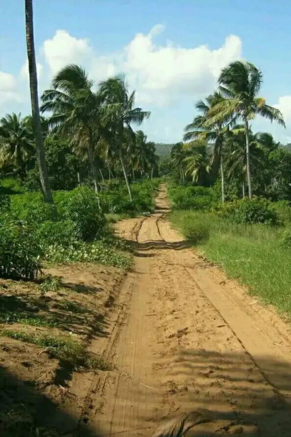 6 hectare Vacant Land For Investment | Massinga (Mozambique ...