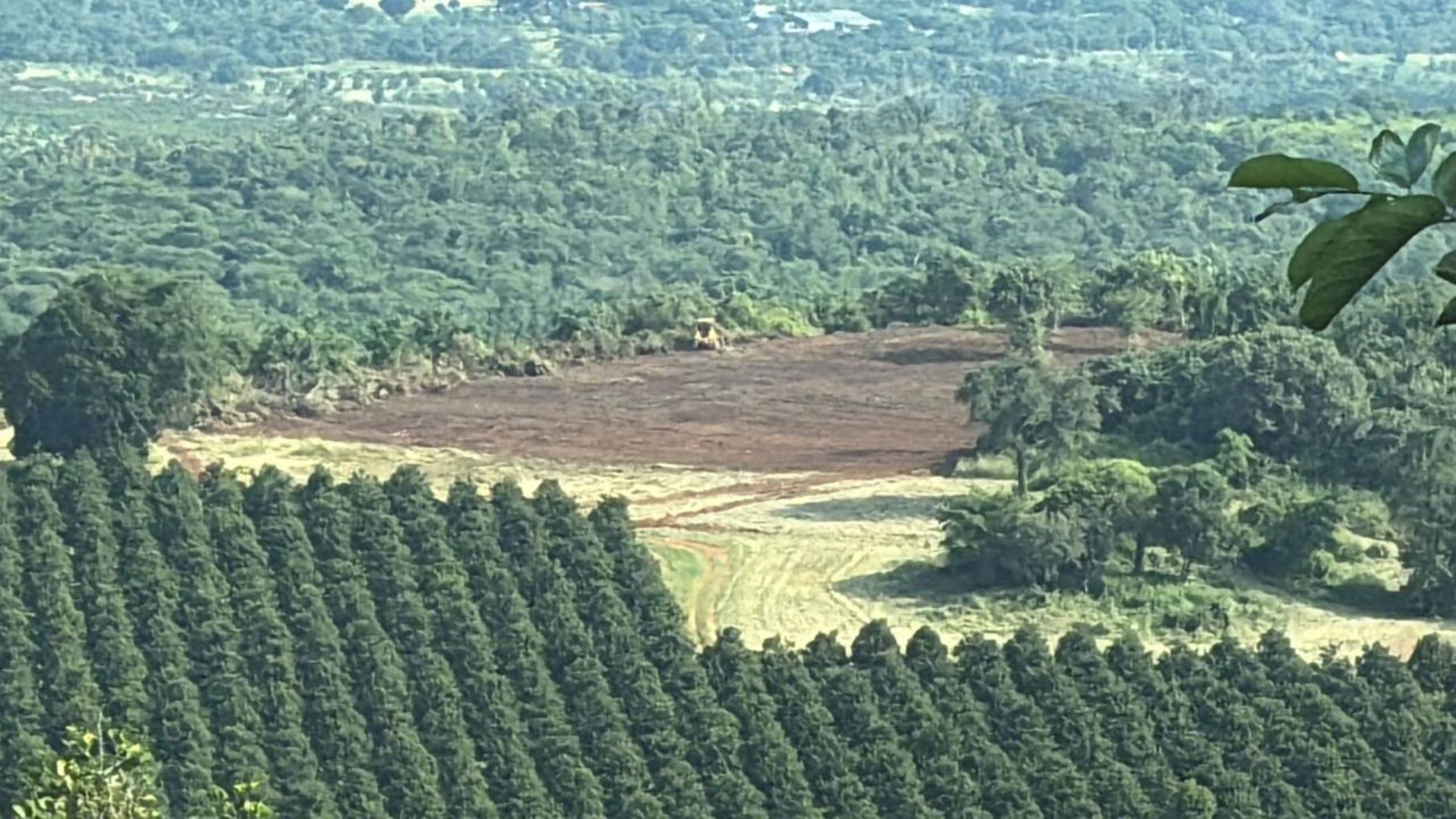 165.33 hectare Fruit Farm For Sale | Tzaneen Rural | 1TA1713976 | Pam ...
